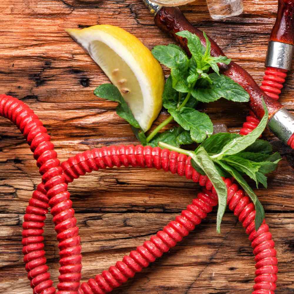 Shisha tobacco Ali Fakter – Lemon with Mint • SHISHA - wholesale